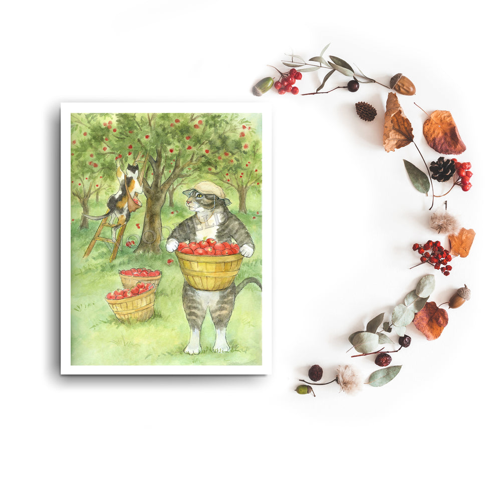 E Cards – Woodfield Press