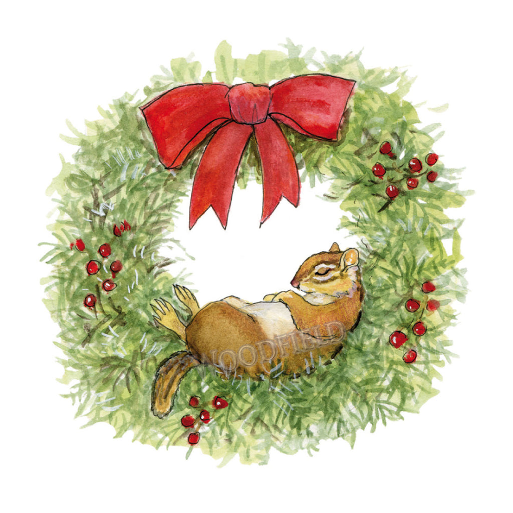 #6111B - Holiday Snooze Enclosure Cards – Woodfield Press